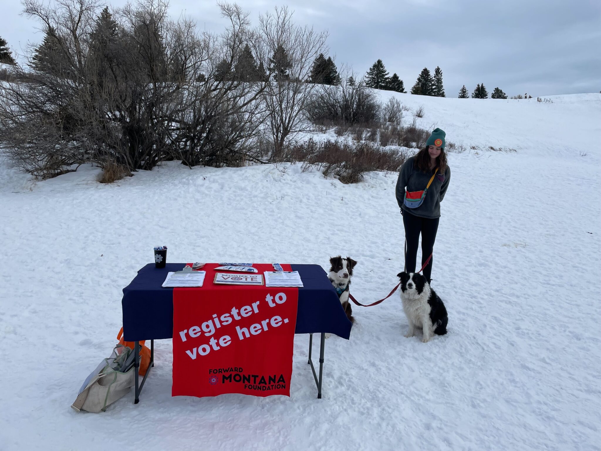 Theory of Change - Forward Montana